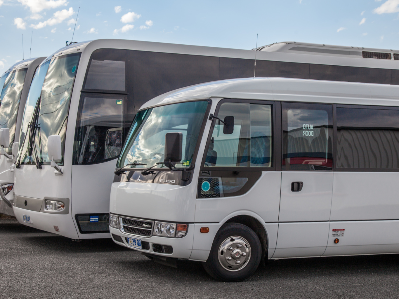 McDermott's | Coach Charter