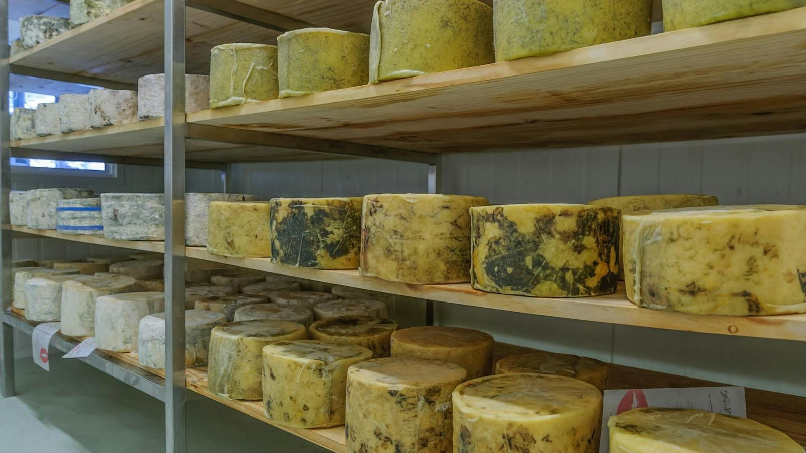 McDermott's | Grote Reber and Wicked Cheese